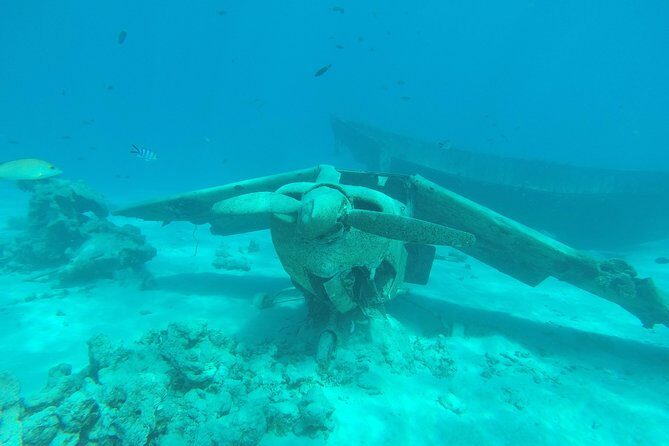 Small group snorkeling (5 people max): wrecks & tropical fishes at 3:30pm - Key Points