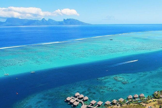 Small group snorkeling (5 people max): wrecks & tropical fishes at 3:30pm - An In-Depth Look at the Tour