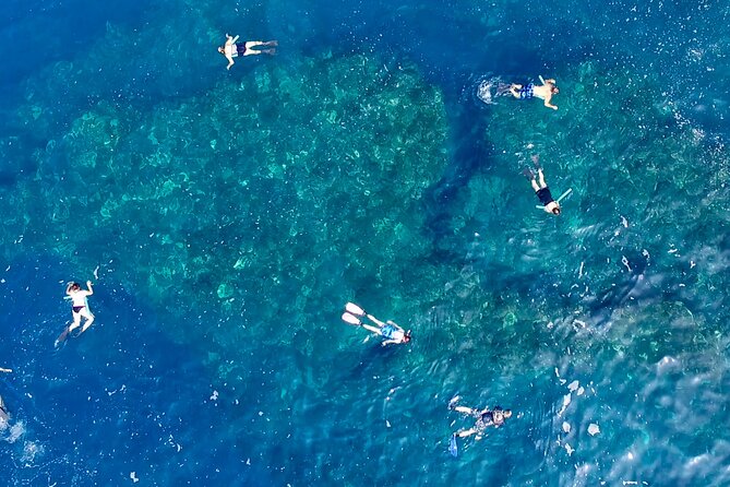 Small Group Snorkeling Expedition South Kona - Authentic Experiences and Authentic Opinions