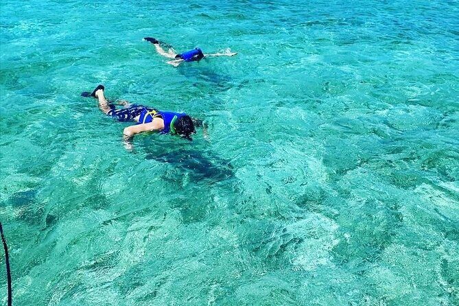 Small-Group Snorkeling Experience at Sea Garden - The Journey to the Reef: Scenic and Relaxed