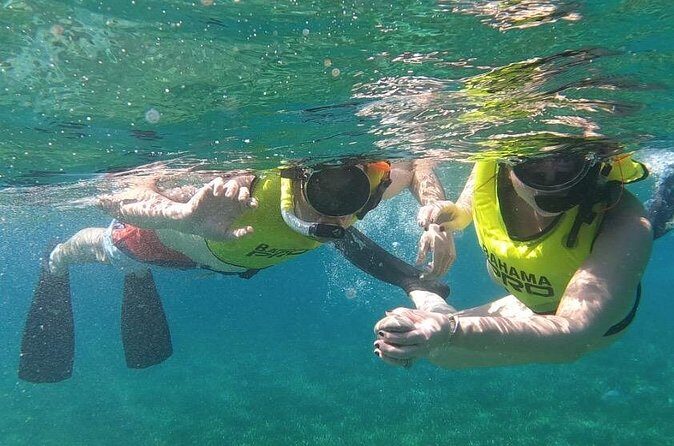 Small-Group Snorkeling Experience at Sea Garden - Final Thoughts: Is This Tour Right for You?