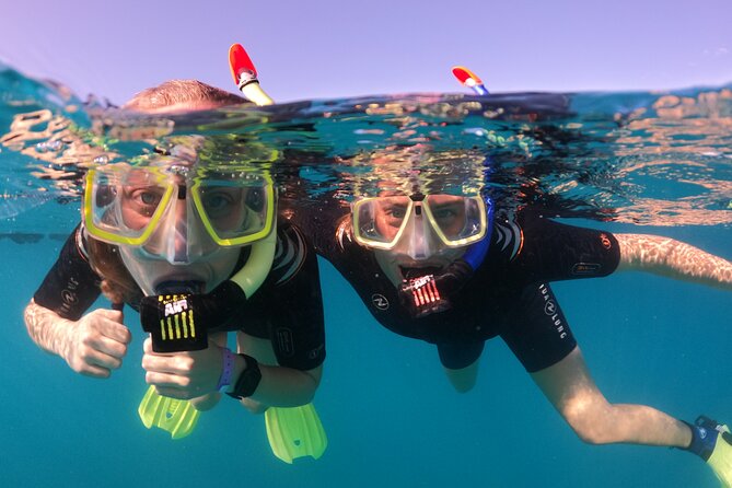 Small Group Snorkeling in Abades Bay with Licensed Guide - Considering the Value