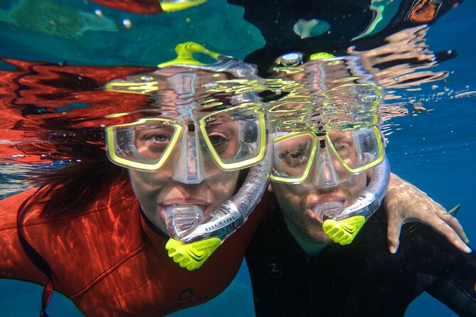 Small Group Snorkeling in Abades Bay with Licensed Guide - The Sum Up