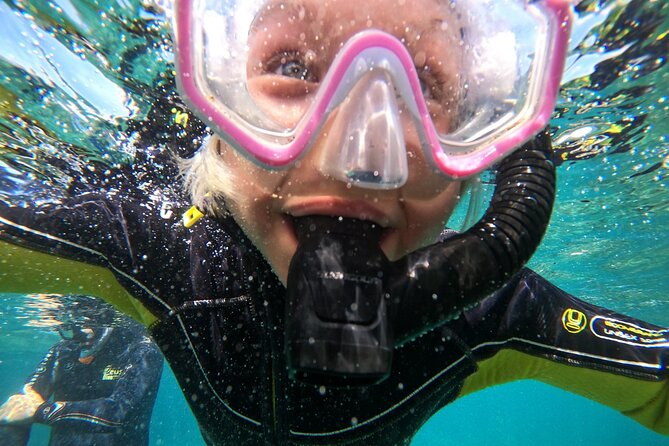 Small Group Snorkeling in Abades Bay with Licensed Guide - FAQ