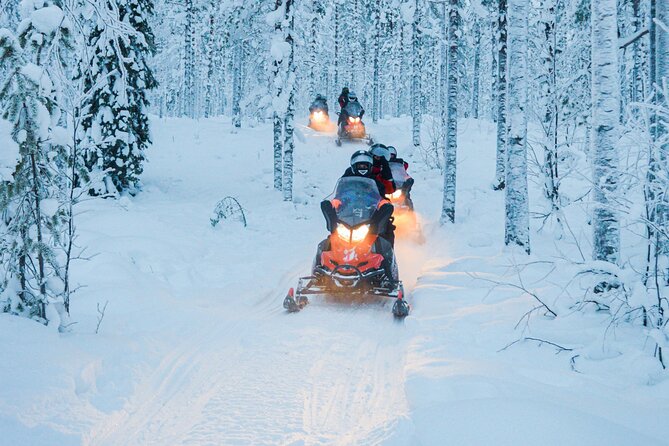 Small-Group Snowmobile Experience in Rovaniemi - Itinerary Details