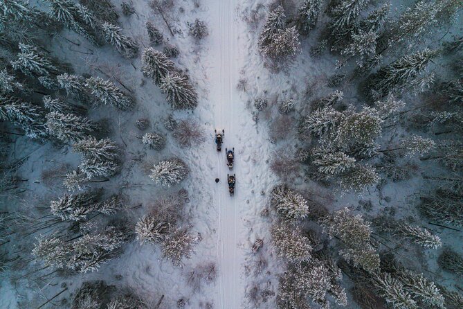 Small-Group Snowmobile Experience in Rovaniemi - Booking Information