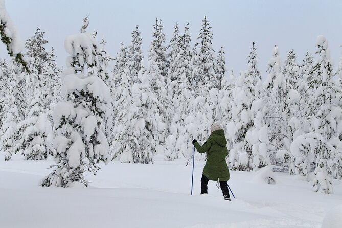 Small-Group Snowshoeing Adventure In Lapland - Key Points