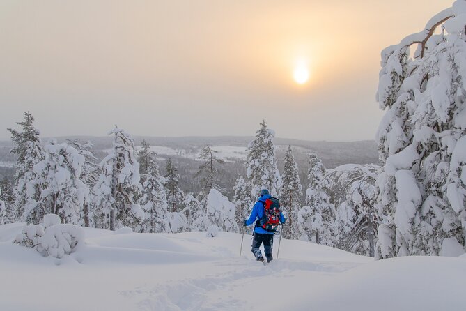 Small-Group Snowshoeing Adventure In Lapland - The Trail and Landscape