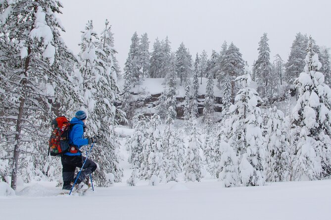 Small-Group Snowshoeing Adventure In Lapland - Wildlife Watching and Silence
