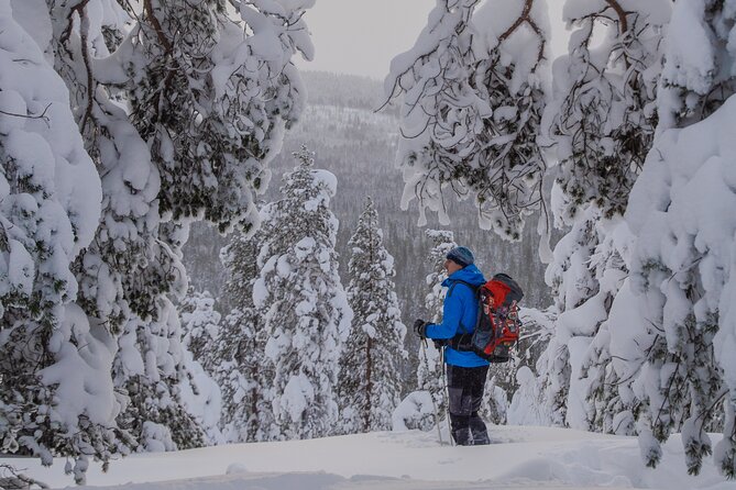 Small-Group Snowshoeing Adventure In Lapland - Practicalities: What’s Included and What to Bring