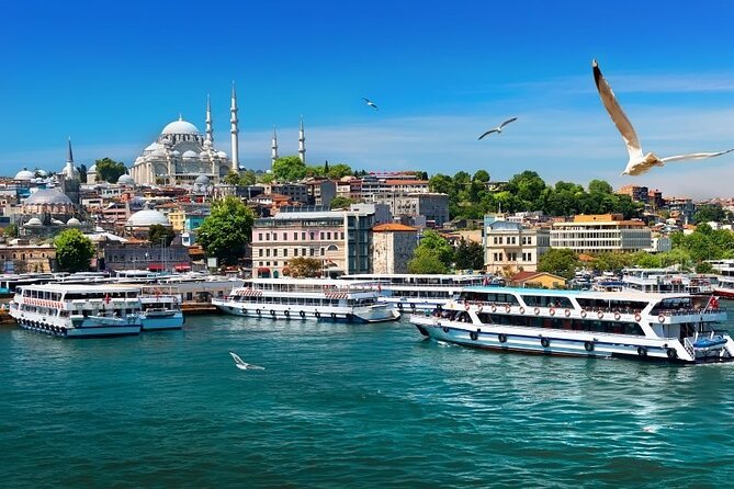 Small Group: Spice Bazaar&Cruising on Bosphorus - Who Should Book This Tour?