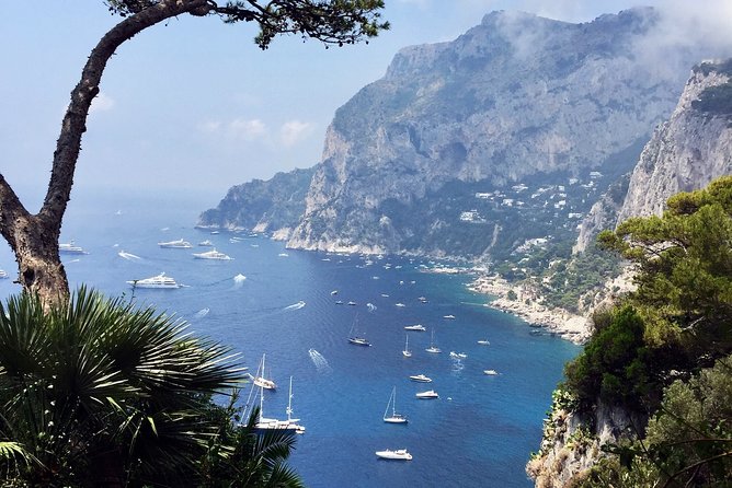 Small Group Stress Free Tour : Capri Island and Blue Grotto from Naples - Transportation and Group Size