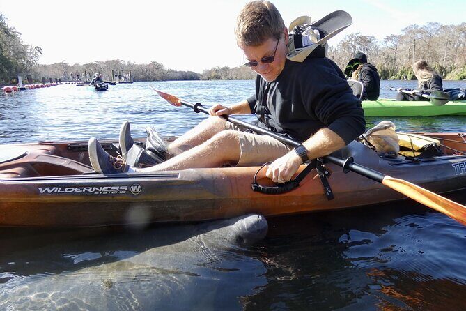 Small Group Sunset Paddle Among Manatees near Orlando - An In-Depth Look at the Sunset Paddle Experience