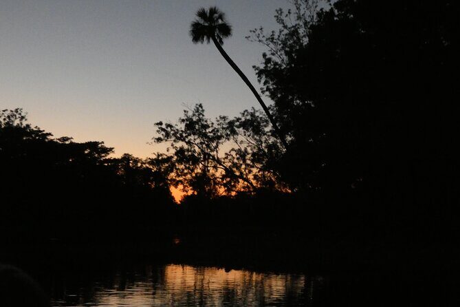 Small Group Sunset Paddle Among Manatees near Orlando - Logistics and Pricing: Getting the Best Value