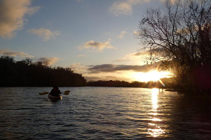 Small Group Sunset Paddle Among Manatees near Orlando - Authenticity and What Travelers Say