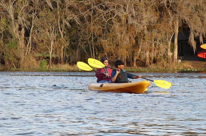 Small Group Sunset Paddle Among Manatees near Orlando - Who Should Consider This Tour?