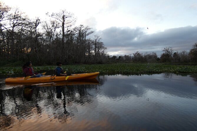 Small Group Sunset Paddle Among Manatees near Orlando - Frequently Asked Questions