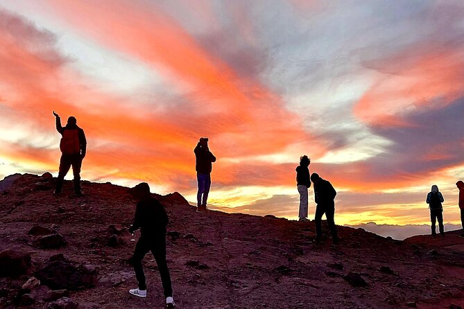 Small Group Teide National Park Volcanic and Forest Wonders - Who Should Consider This Tour