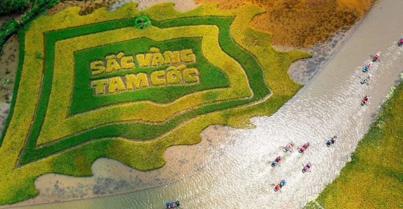 Small Group to Tam Coc - Hoa Lu - Mua Cave 1 Day from Hanoi - Traveler Feedback and Authentic Insights