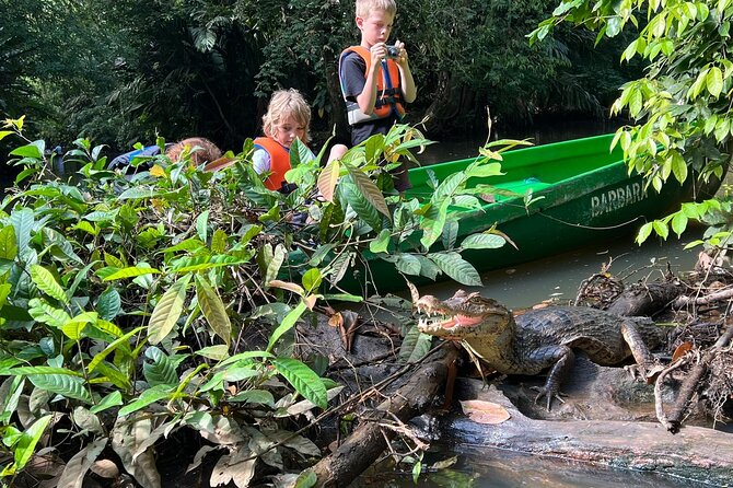 Small Group Tortuguero National Park Canoe Tour - Wildlife Spotting Opportunities