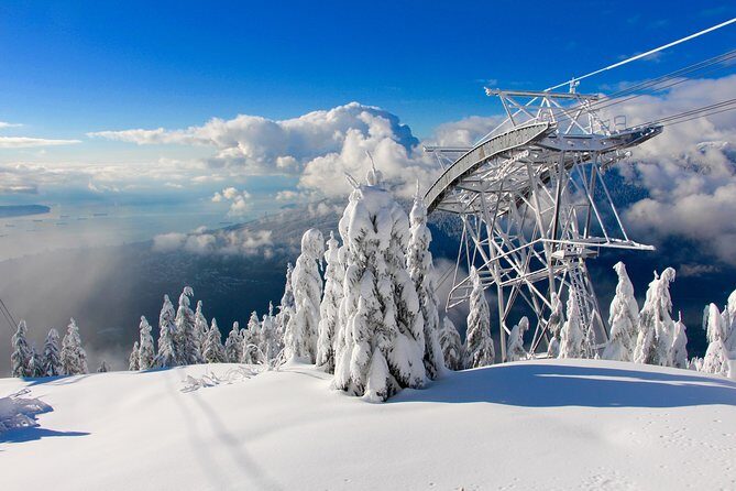 Small Group Tour: Capilano Suspension Bridge and Grouse Mountain from Vancouver - An In-Depth Look at the Experience