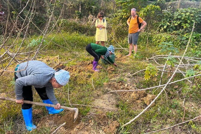 Small Group Tour Discover Thay Pagoda, Duong Lam Ancient Village - An Overview of the Tour Experience