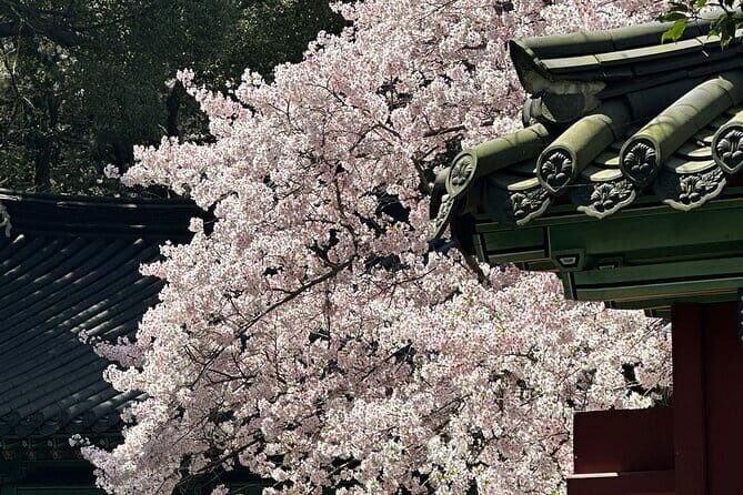 Small Group Tour East Jeju Cherry Blossom & Woman Diver Show - A Taste of Local Life and Iconic Landmarks