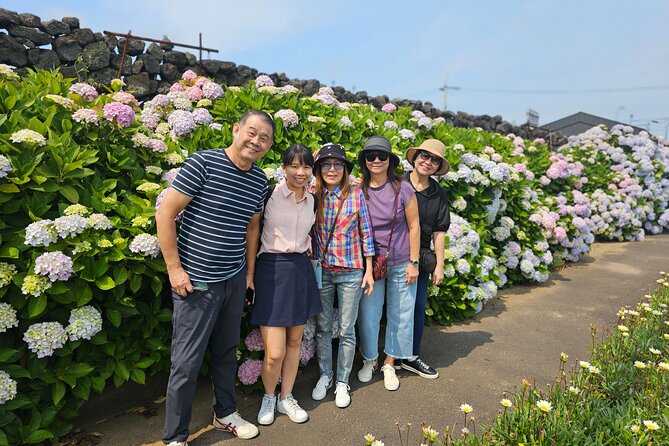 Small group tour FULL - PACKAGE Tour to All Areas in Jeju Island - Who Should Consider This Tour?