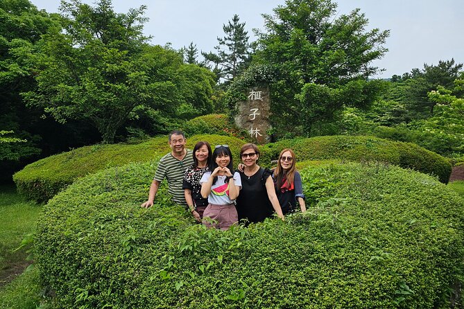 Small group tour FULL - PACKAGE Tour to All Areas in Jeju Island - Final Thoughts