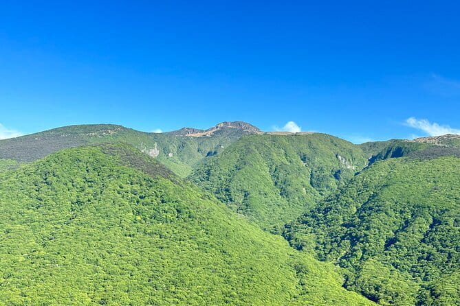 Small Group Tour in South Jeju Healing Island - Final Thoughts