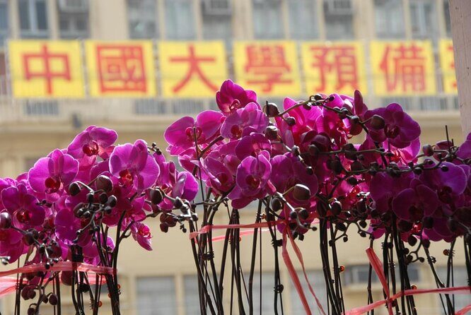 Small-Group Tour: Local Markets Hopper and Foodie in Hong Kong - Key Points