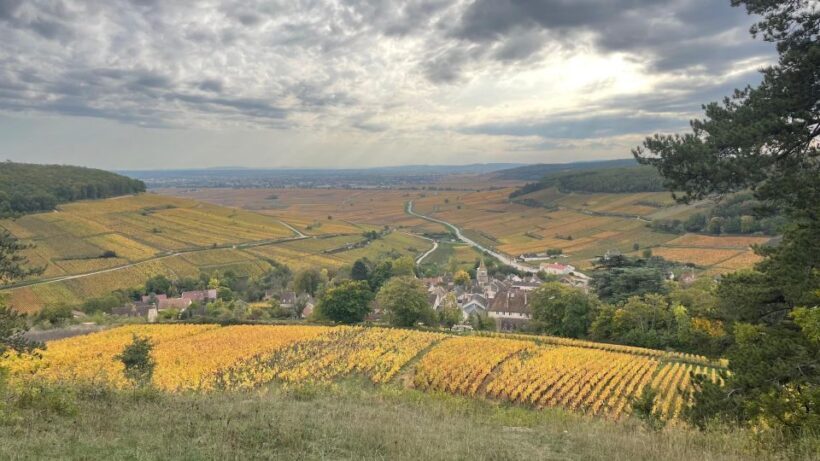 Small group tour Morning in Côte de Beaune - Why This Tour Works