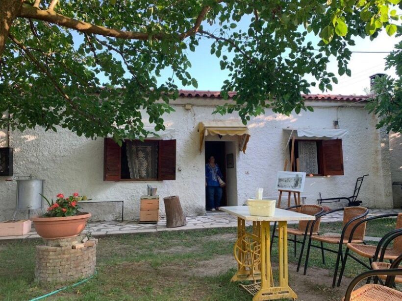 Small Group Tour of Ancient Olympia and Local Food Tasting - Leisure Time in Olympia Village