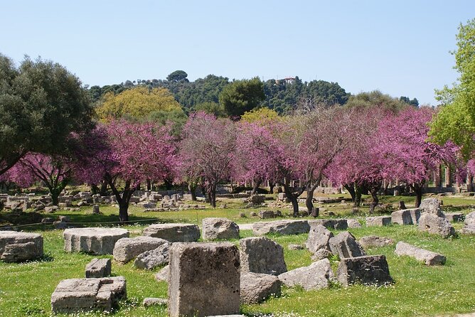 Small Group Tour of Ancient Olympia and Local Food Tasting - Leisure Time in Olympia Village