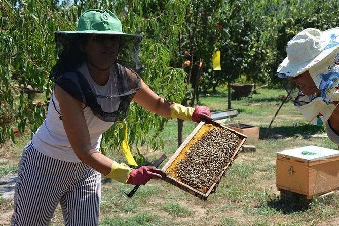 Small Group Tour of Ancient Olympia and Local Food Tasting - Overall Value and Practicalities