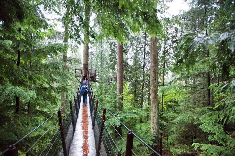 Small group tour of Capilano Bridge & Grouse Mountain - Key Points