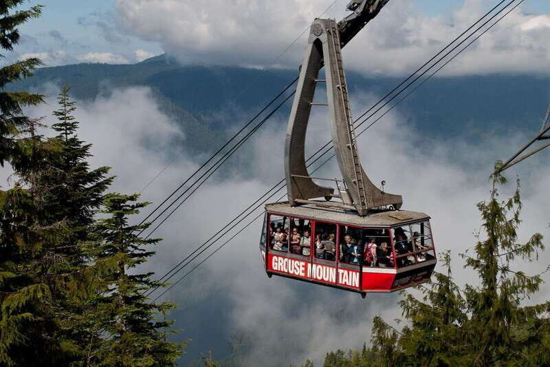 Small group tour of Capilano Bridge & Grouse Mountain - An In-Depth Look at the Tour Experience