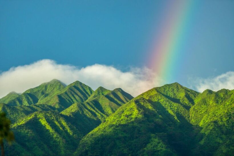 Small Group Tour of Honolulu Scenic Vistas with Sunset - The Value and Practicalities