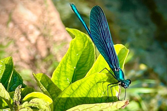 Small Group Tour of Saranda, Ksamil & Blue Eye From Tirana - Highlights of Saranda