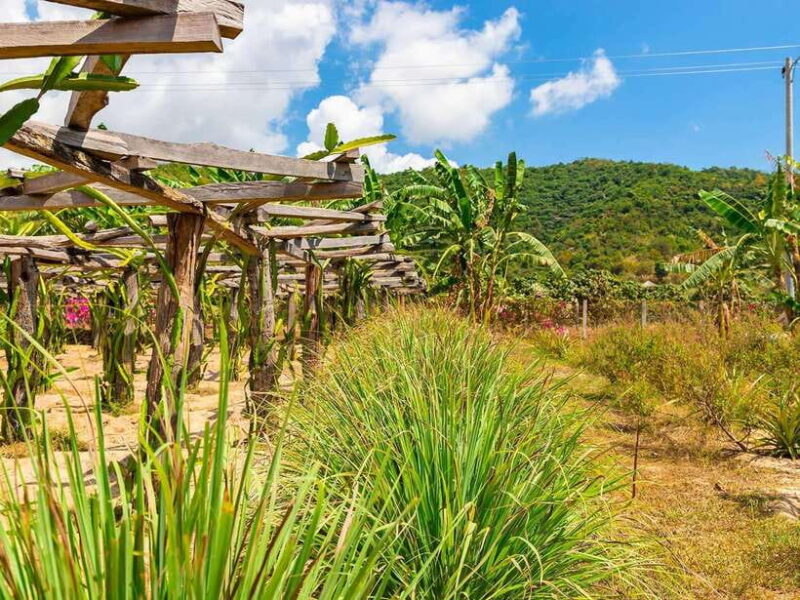 Small Group Tour: One Day Phnom Penh to Kampot & Kep - Final Thoughts