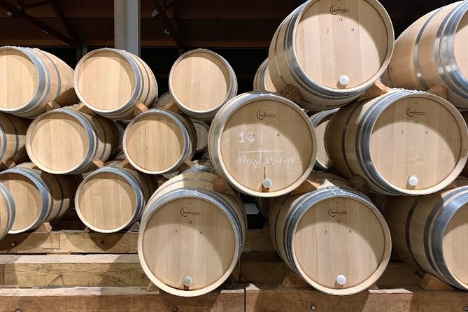 Small Group Tour - Ribera Del Duero Super Taster With Lunch - Wineries and Wine Tastings