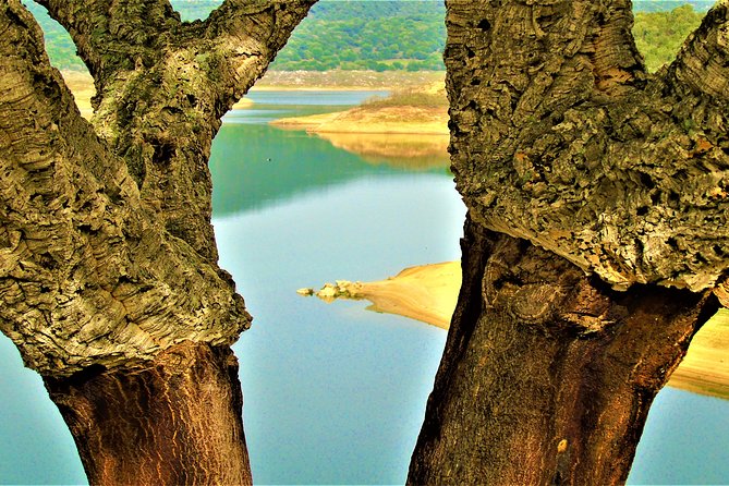 Small Group Tour - Tempio Pausania, Luras, The Gallura County- SARDINIA - ITALY - FAQ