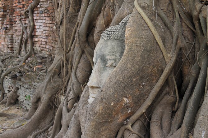 Small Group Tour to Ayutthaya Temples from Bangkok with Lunch - Who Will Love This Tour?