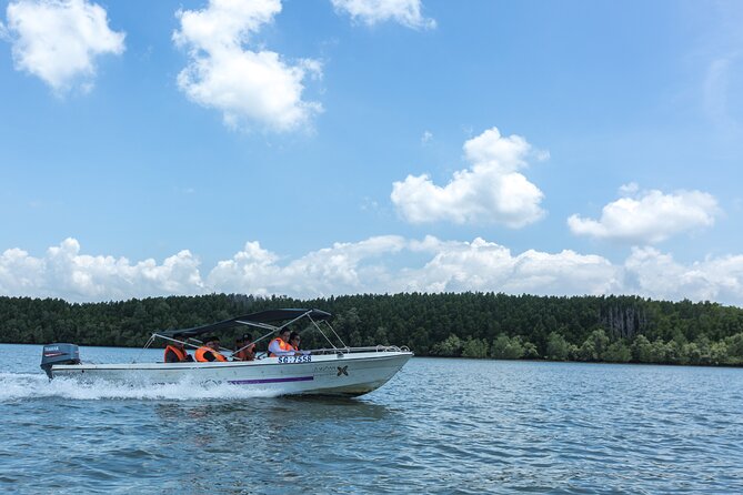 Small-Group Tour to Can Gio Vam Sat Mangrove Forest - Practical Tips for Travelers