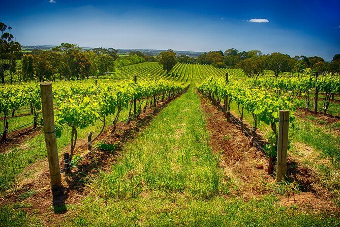 Small Group Tour to Coast, Vales and Hills with Lunch - Who Should Consider This Tour?