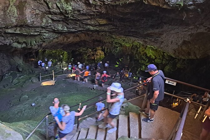 Small Group Tour to Knossos Palace Lasithi Plateau & Olive Mill - Who Is This Tour Best For?