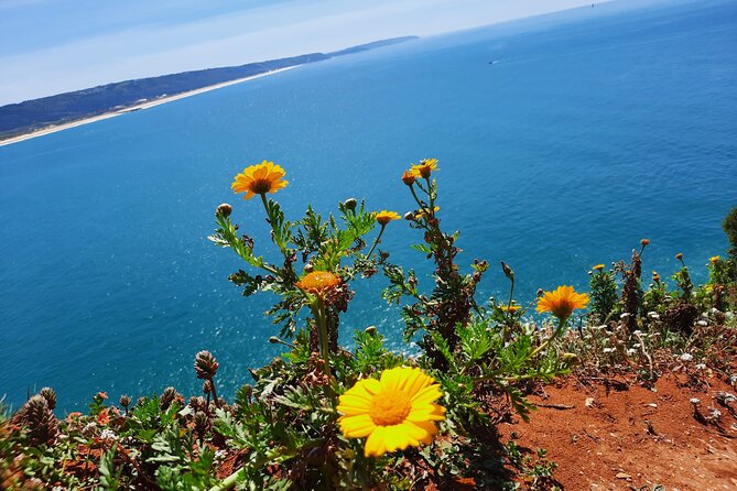 Small Group Tour to Nazaré and Obidos from Lisbon - What Our Readers Love and What to Consider