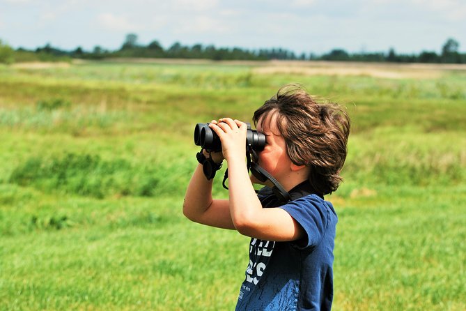 Small Group Tour to NP Hoge Veluwe (Van Gogh) From Amsterdam - Exploring the De Hoge Veluwe National Park