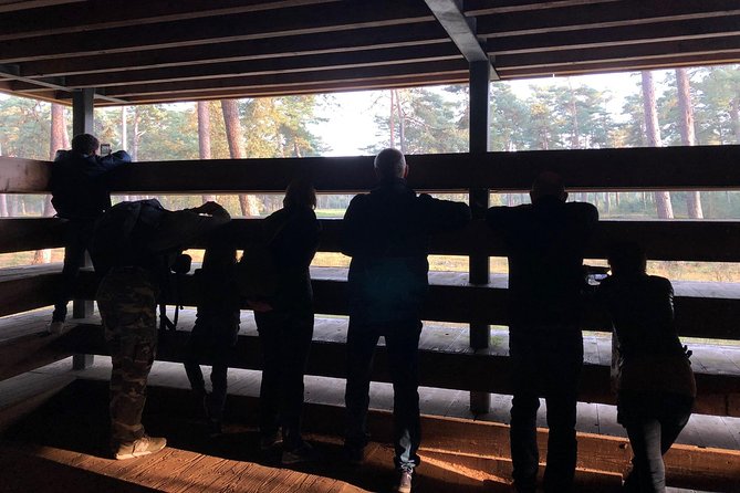 Small Group Tour to NP Hoge Veluwe (Van Gogh) From Amsterdam - Visiting the Kröller-Müller Museum