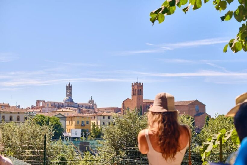 Small Group Tour to Siena & San Gimignano with Chianti Wine - In The Sum Up